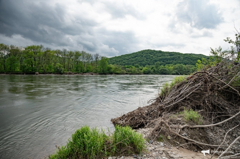 На большинстве рек Приморья после ливней развивается паводок - PrimaMedia.ru